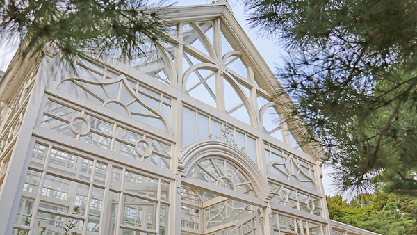 Step Back in Time: Seosulla-gil’s Treasures Await