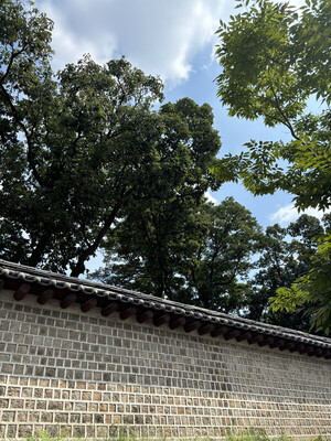 Step Back in Time: Seosulla-gil’s Treasures Await